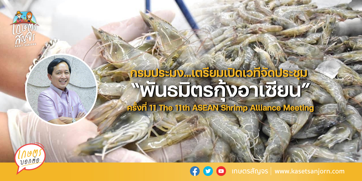 กรมประมง...เตรียมเปิดเวทีจัดประชุม “พันธมิตรกุ้งอาเซียน” ครั้งที่ 11 ...